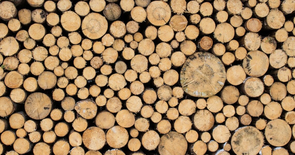 Quelle est la densité des principales essences de bois